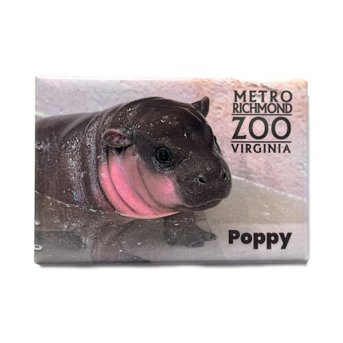 Magnet Poppy Profile – Metro Richmond Zoo
